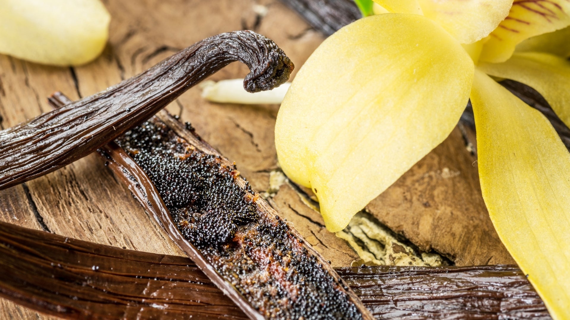 Discover the World's Best Vanilla Beans | Farm-to-Home, Ethical, Fair ...