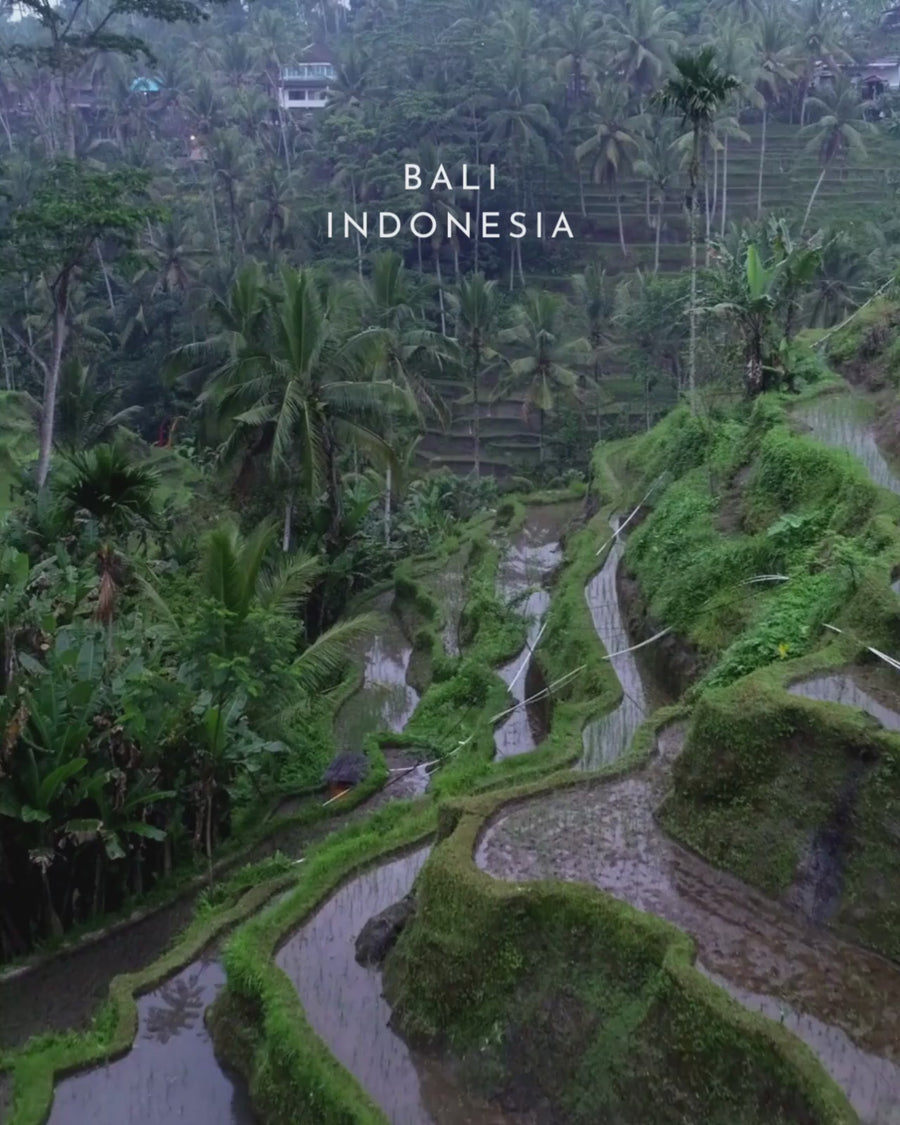 The Ultimate Beginner's Guide to Using Vanilla Beans in Cooking and ...