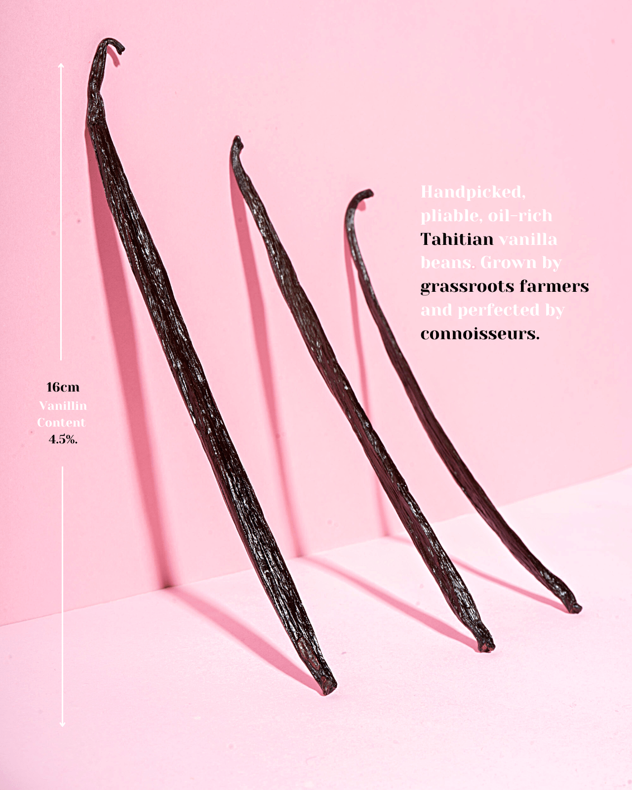 Gourmet Vanilla Beans | VANIL A BEAN